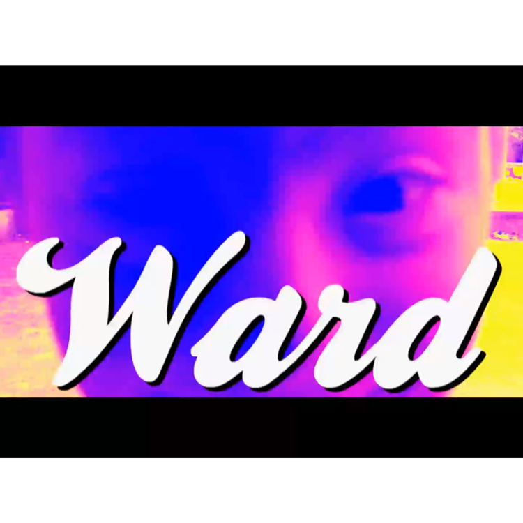 Ward, inclusie op het speelplein - 8 jaar later | Speelplein.Net